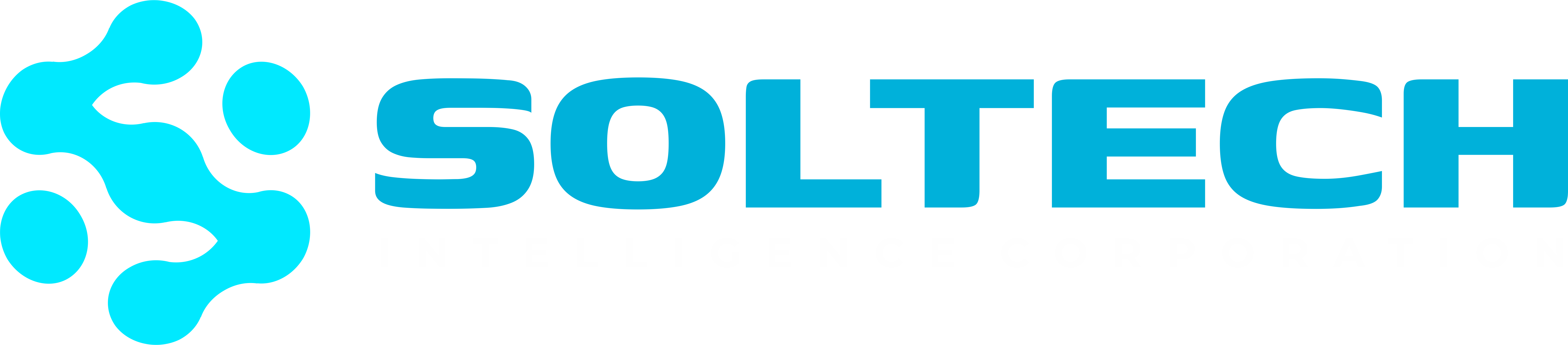SolTech Intelligence Corporation